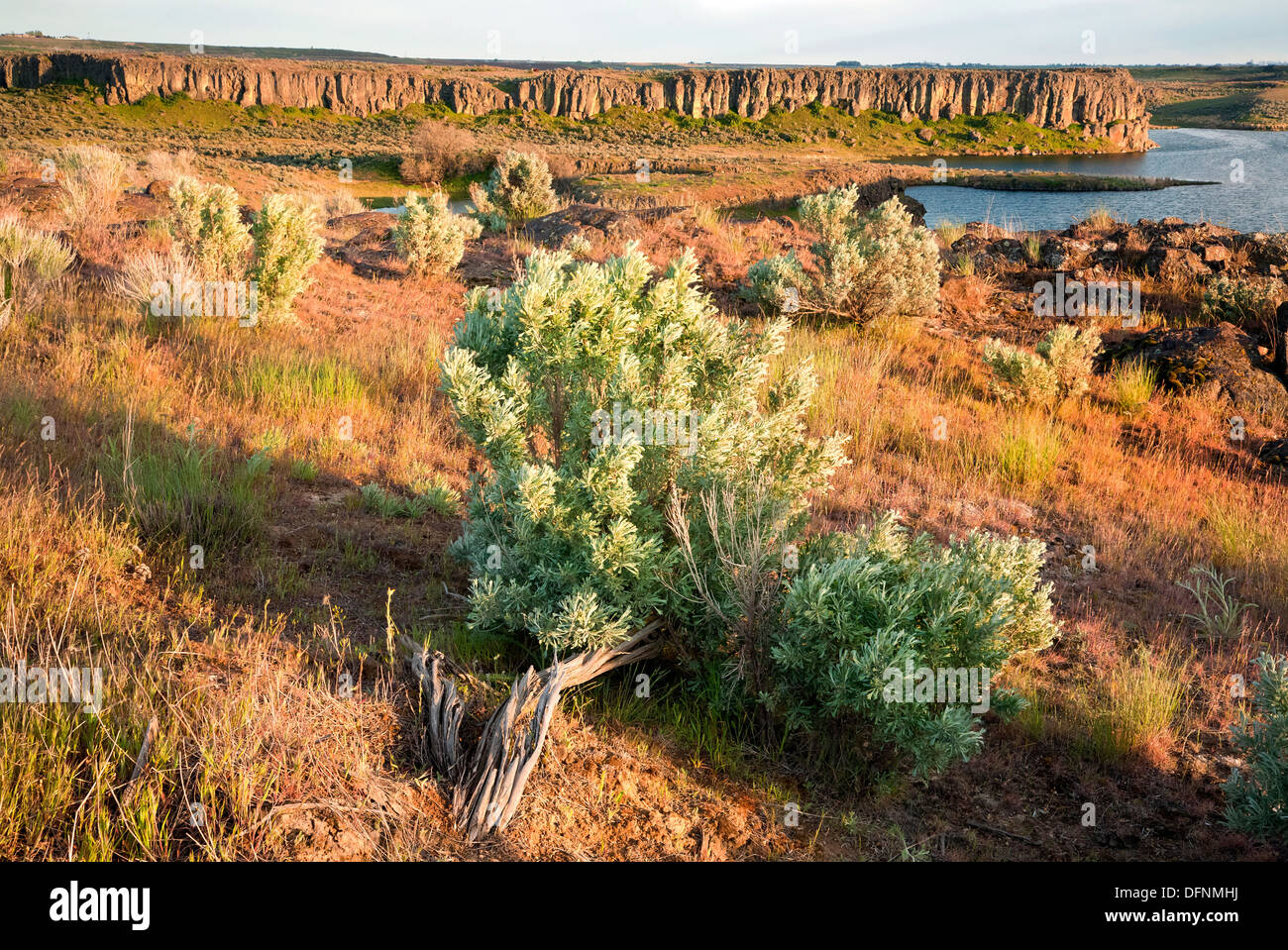 WASHINGTON - Evening at Canal Lake in the Seep Lakes Wildlife Area ...