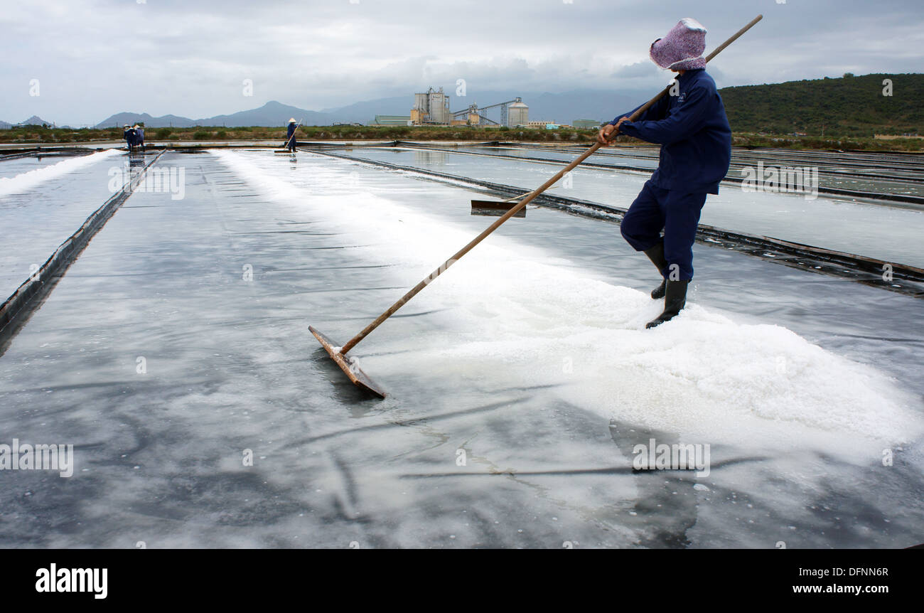 Salt worker working on salina,they harvesting white salt in Ba Ria ...