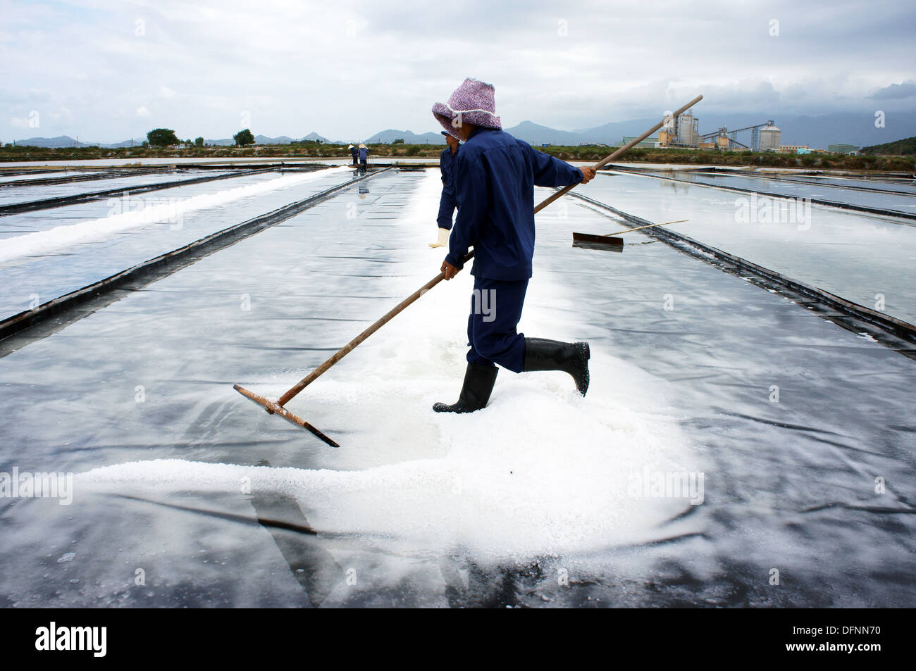 Salt worker working on salina,they harvesting white salt in Ba Ria ...