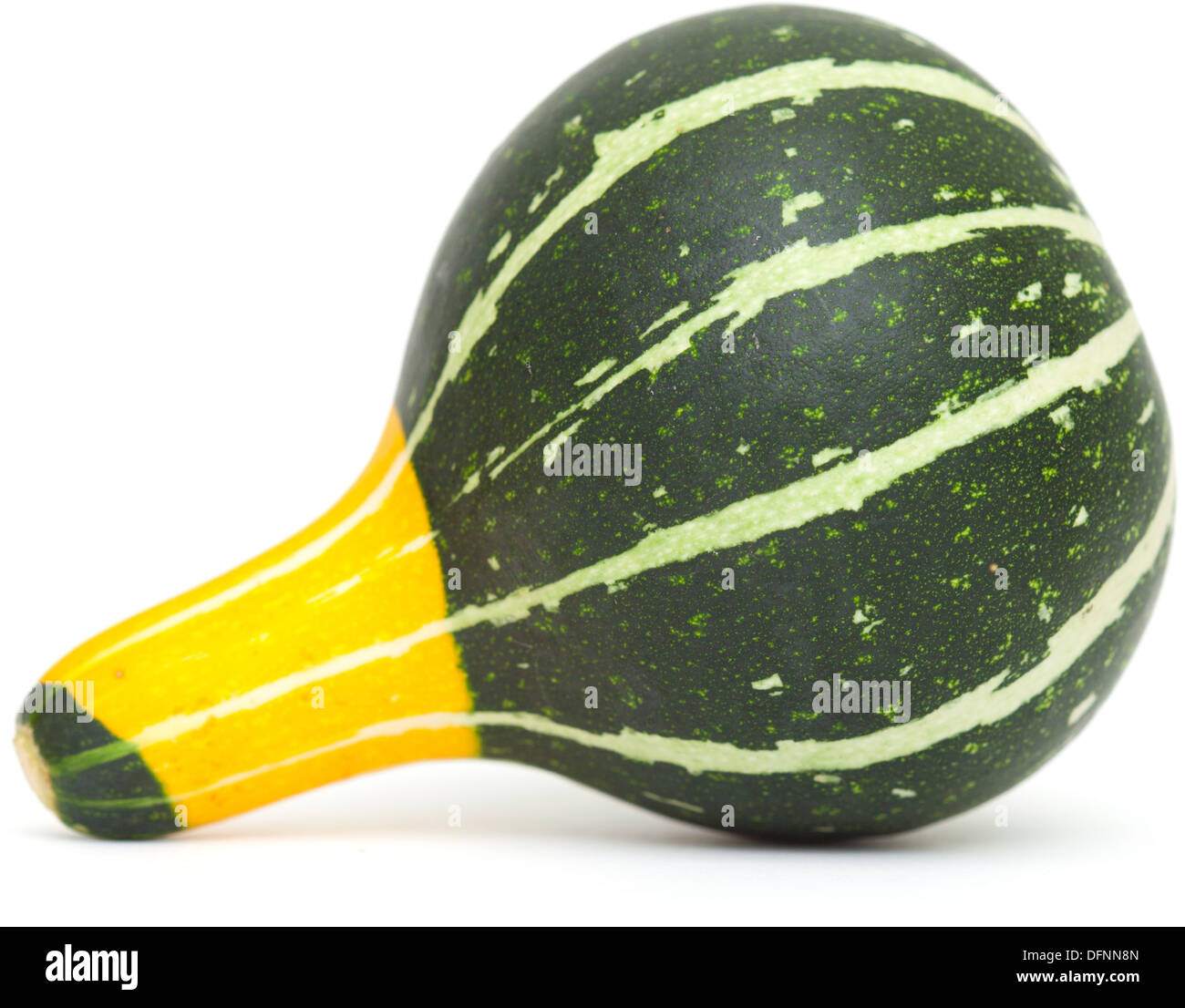 ornamental gourd isolated on white background Stock Photo - Alamy