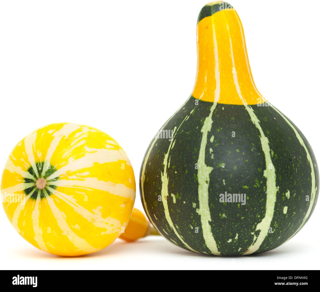 ornamental gourd isolated on white background Stock Photo - Alamy