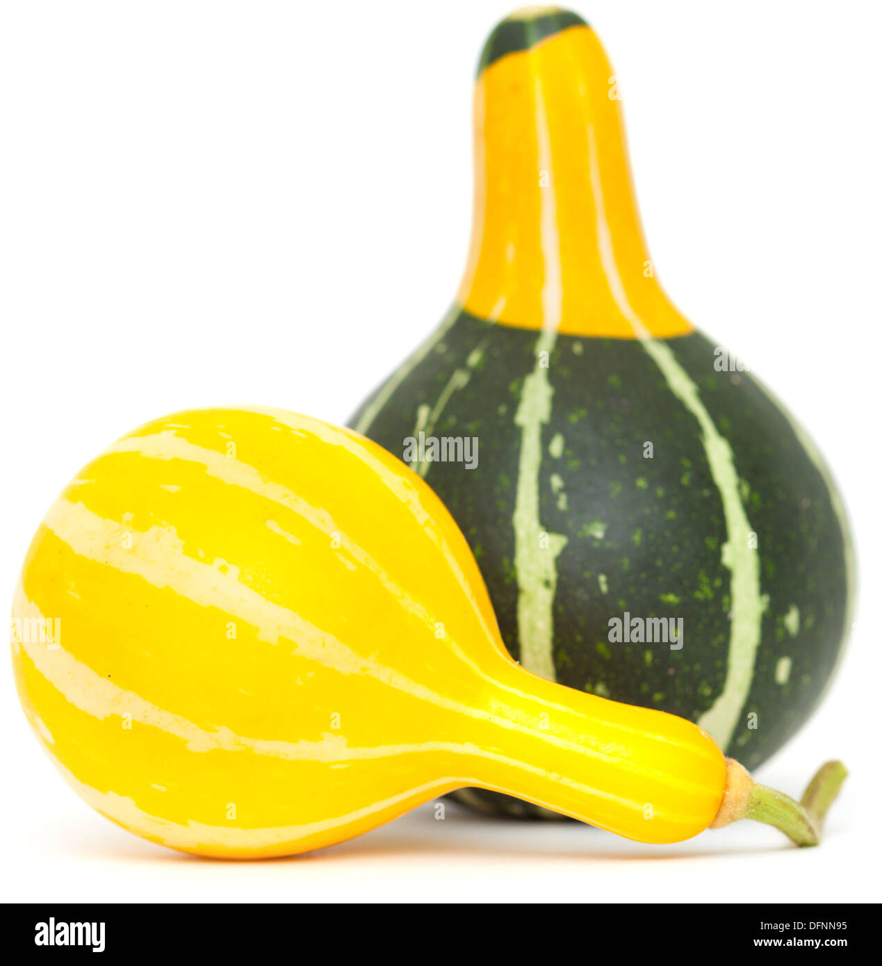 ornamental gourd isolated on white background Stock Photo - Alamy