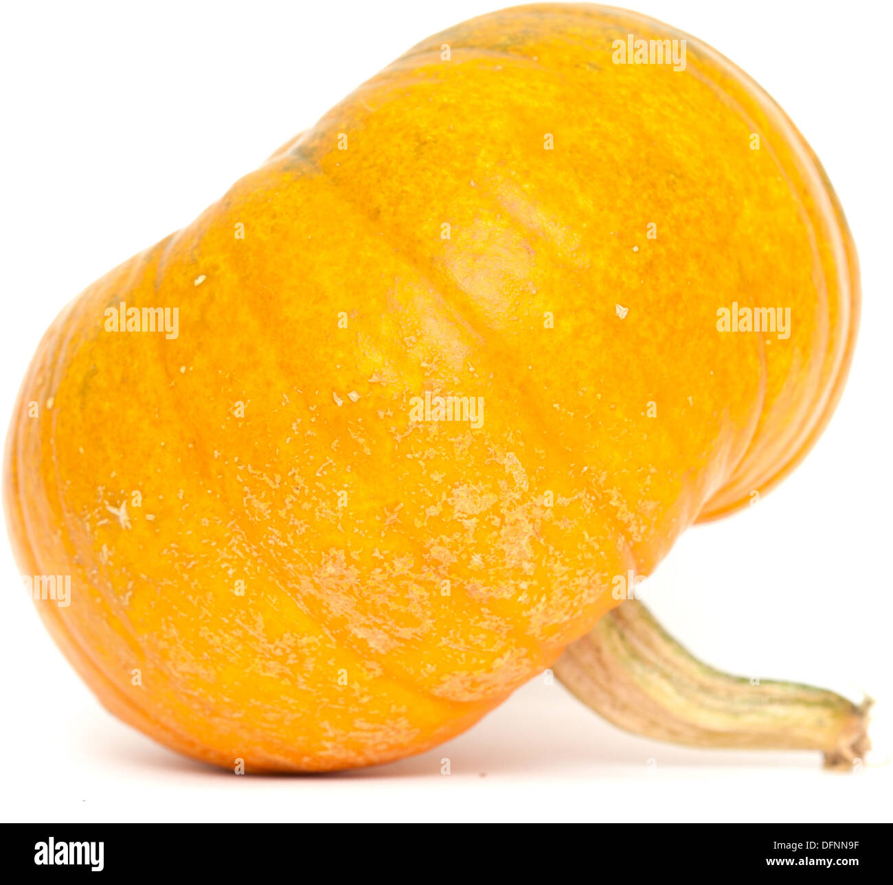 pumpkin isolated on white background Stock Photo - Alamy