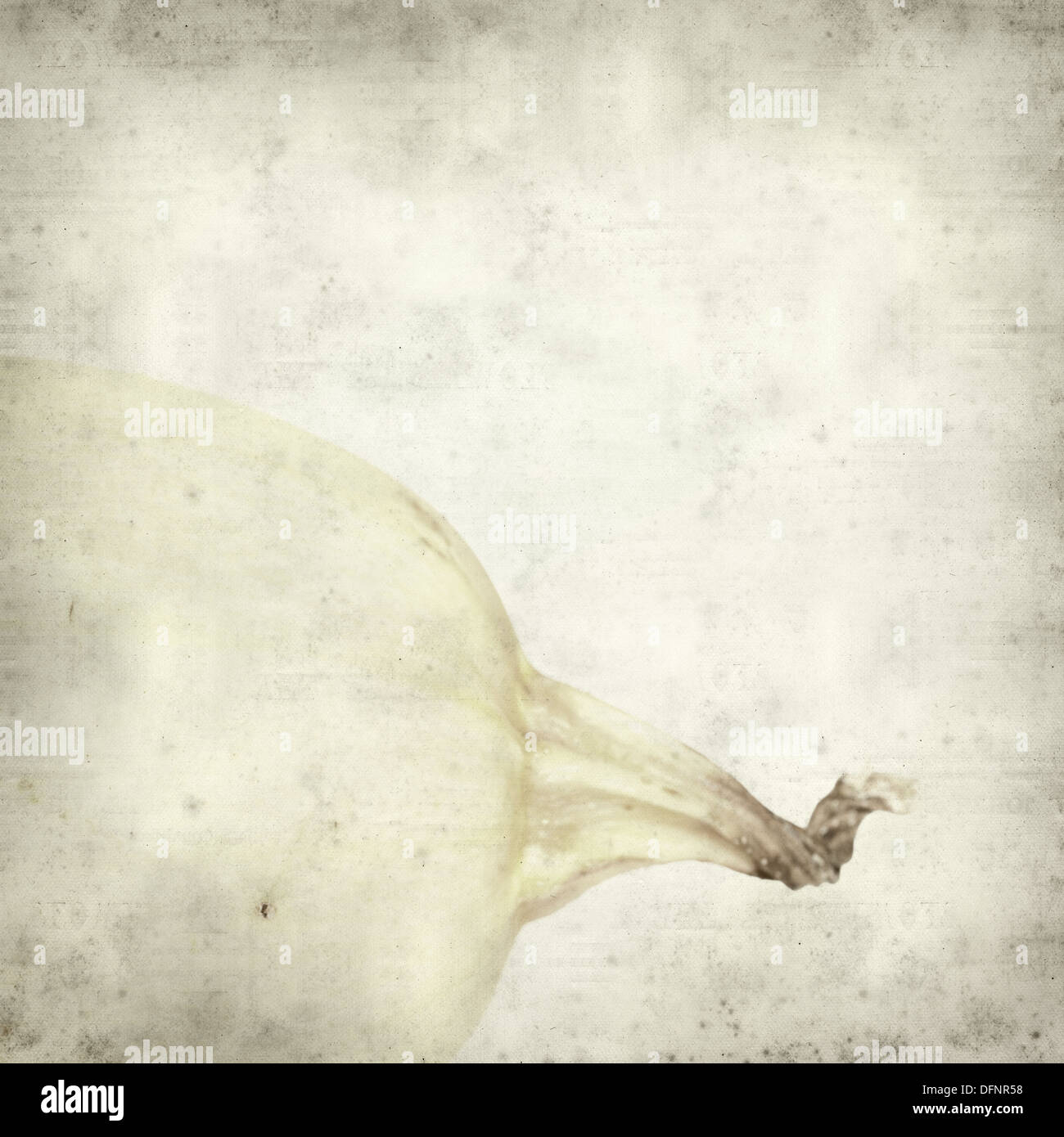 textured old paper background with squash Stock Photo - Alamy