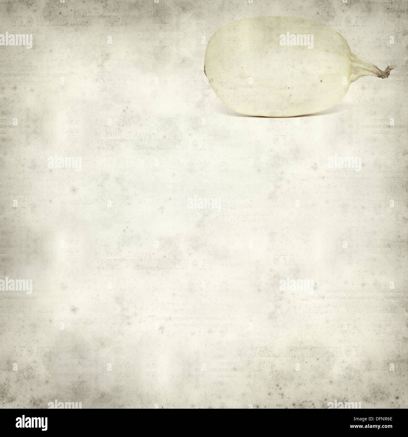 textured old paper background with squash Stock Photo - Alamy