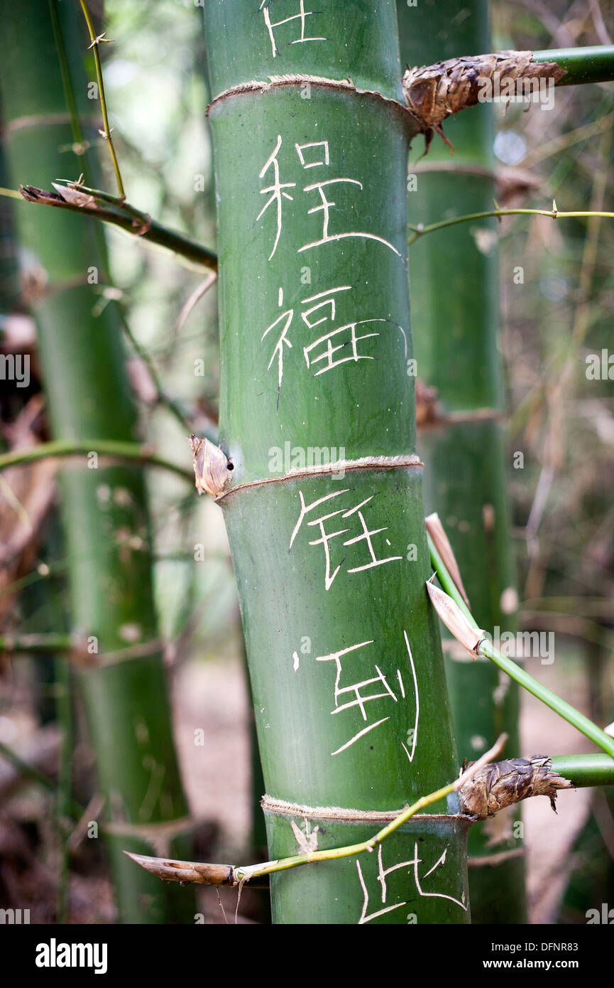Bamboo carving hi-res stock photography and images - Alamy