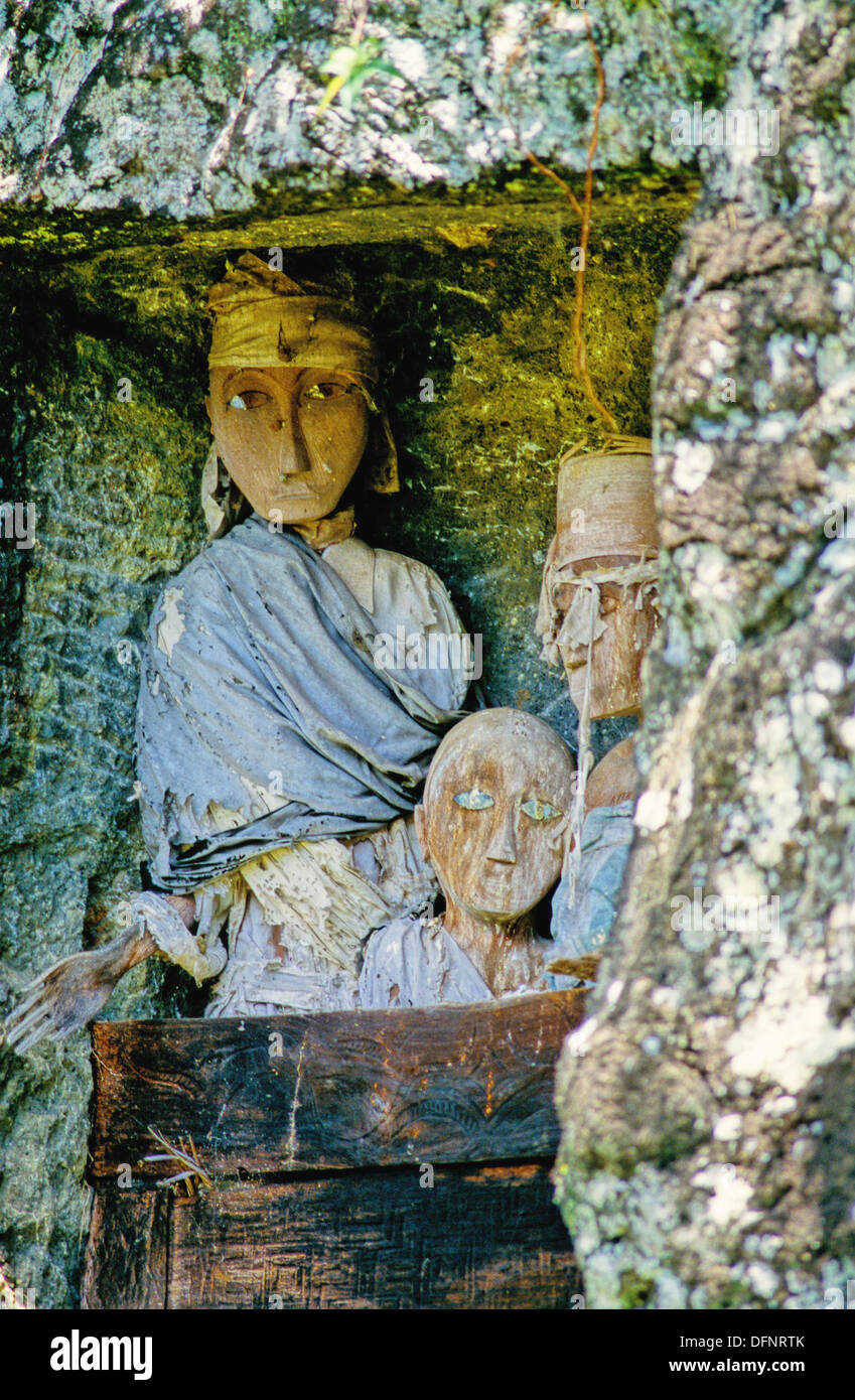 Toraja Sculptures High Resolution Stock Photography and Images - Alamy
