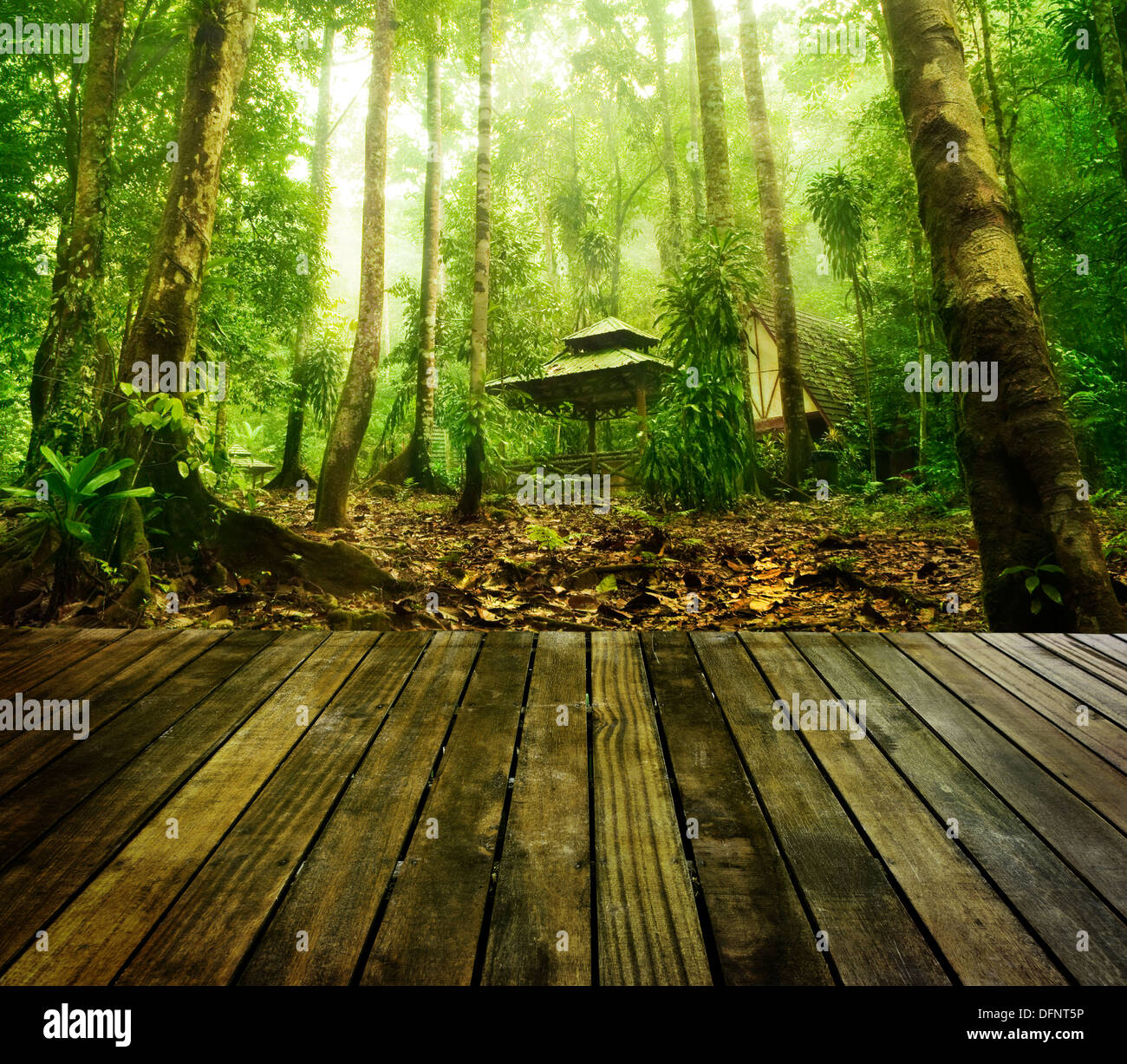 Wooden platform and green forest and huts in a misty morning, Malaysia ...