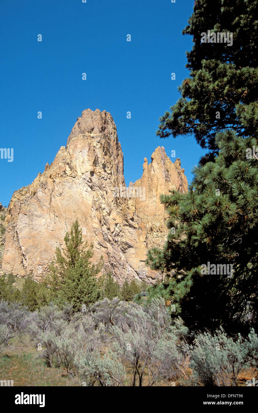 Landscape sagebrush artemisa tridentata hi-res stock photography and ...