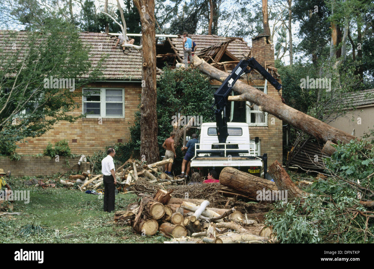 Clearing fallen trees damaged house hi-res stock photography and images ...