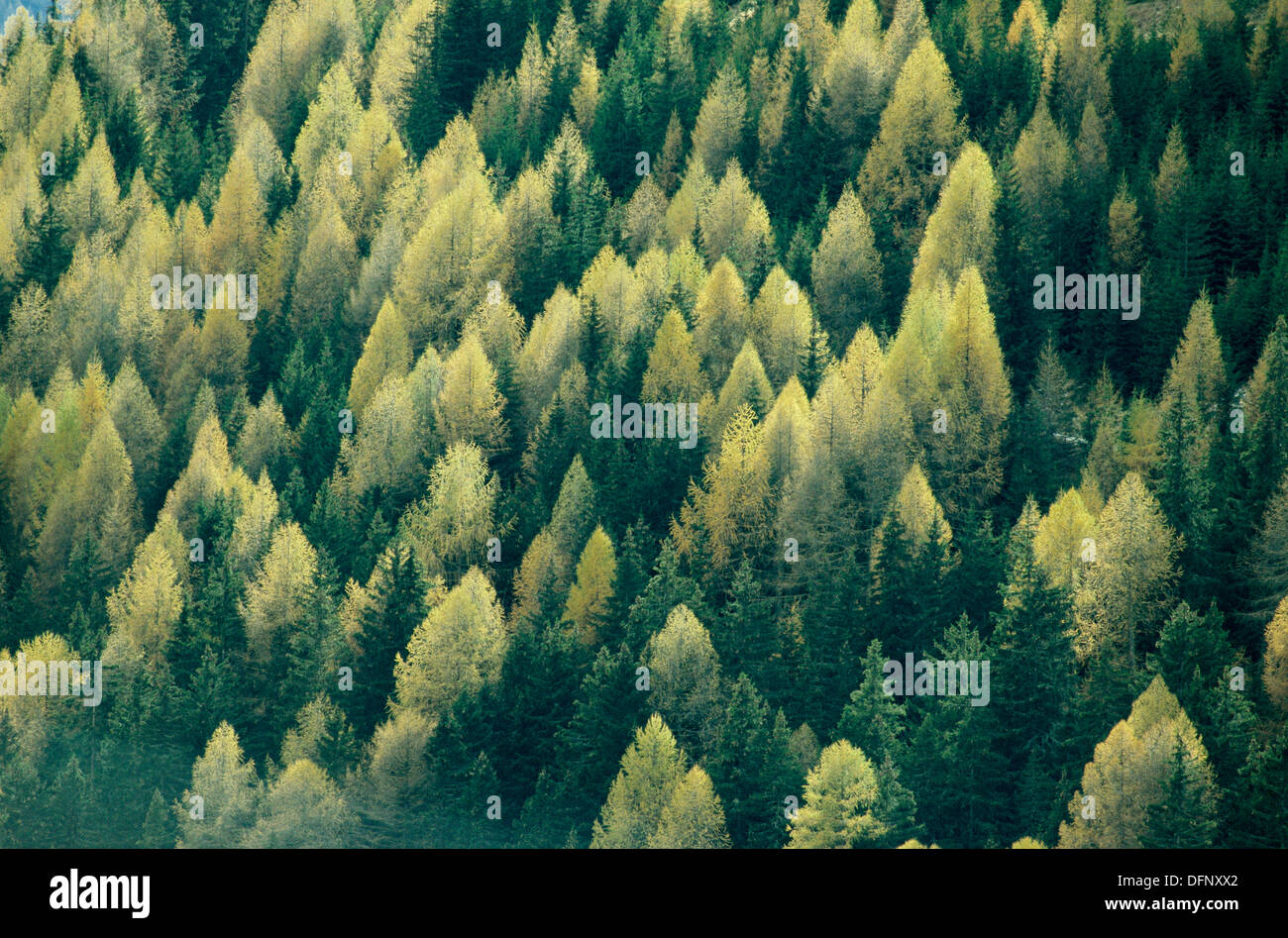 Southern tirol hi-res stock photography and images - Alamy