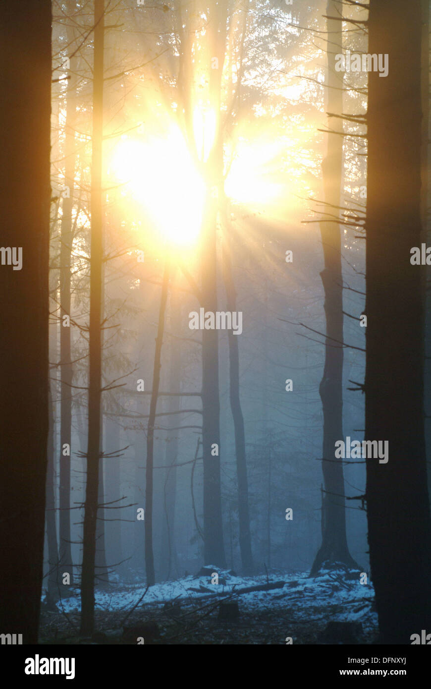 Breaking through germany hi-res stock photography and images - Alamy