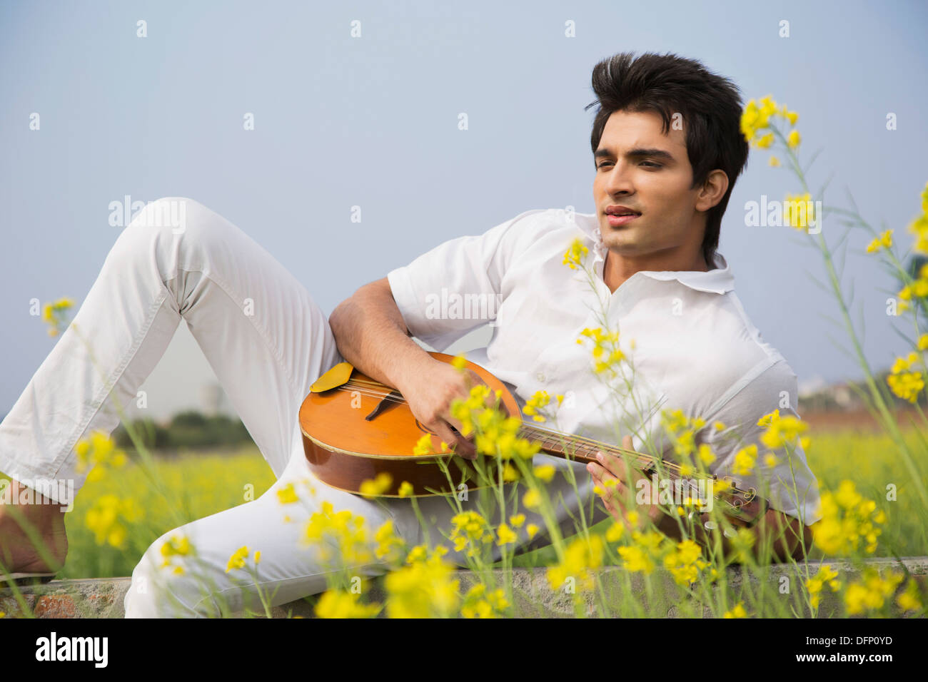 Man playing mandolin in a mustard field Stock Photo - Alamy
