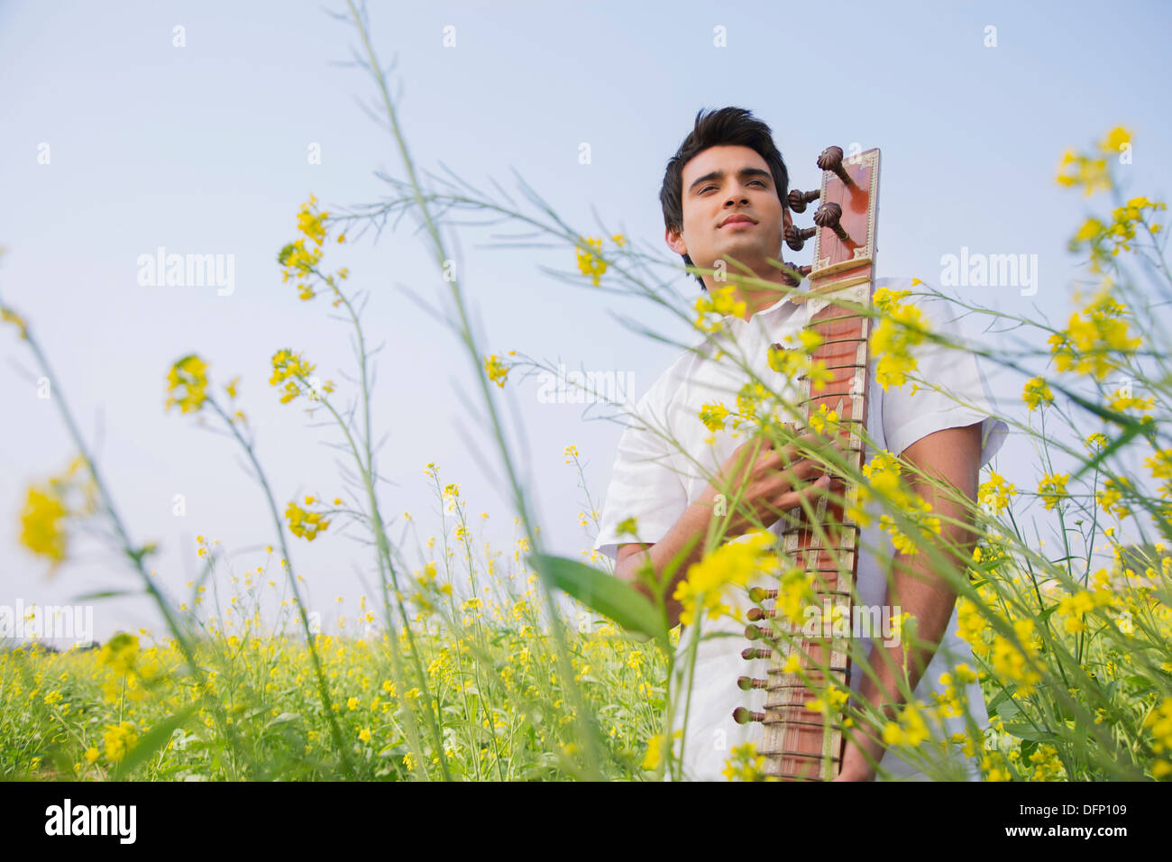 Low angle view of a man playing sitar in a mustard field Stock Photo ...