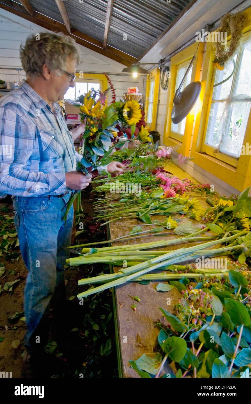 Preparing for selling flowers at farmers market, organic flower farm ...