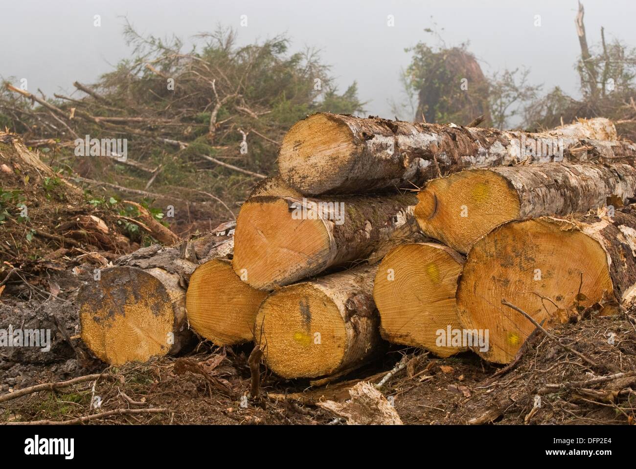 Operation Product High Resolution Stock Photography and Images - Alamy