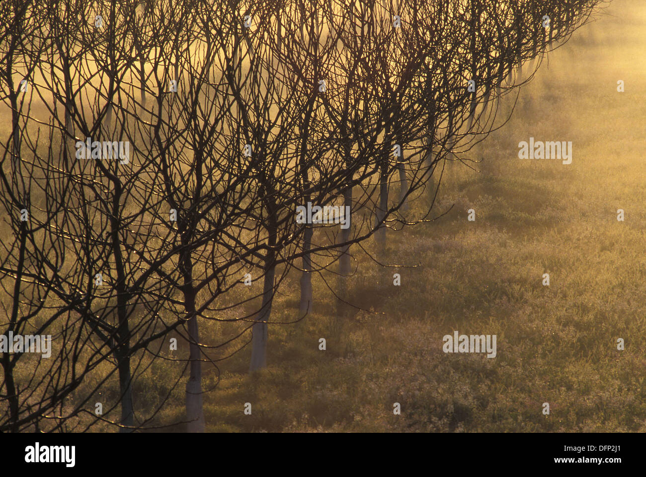 Central Valley California Economy High Resolution Stock Photography and ...
