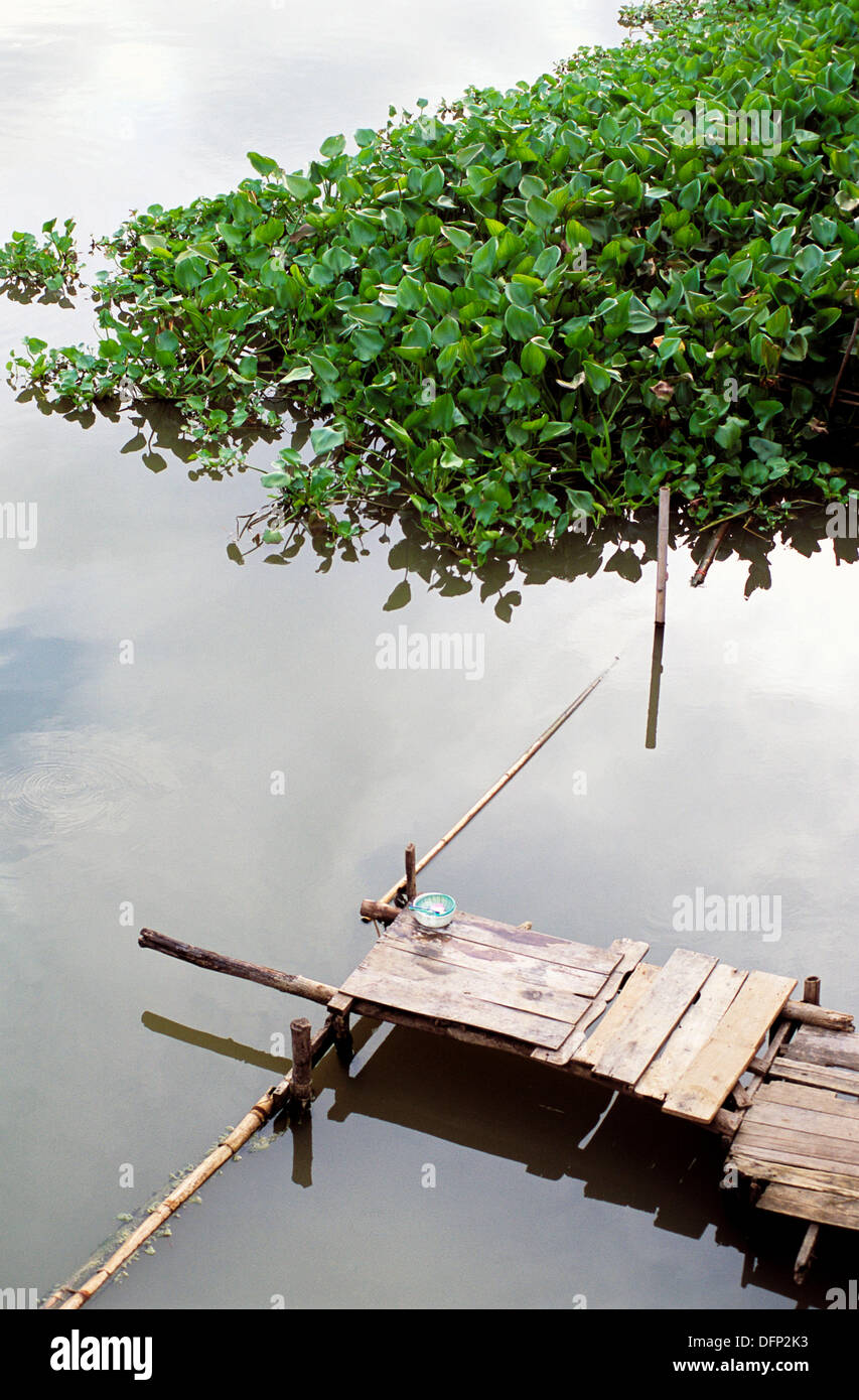 Salaya hi-res stock photography and images - Alamy