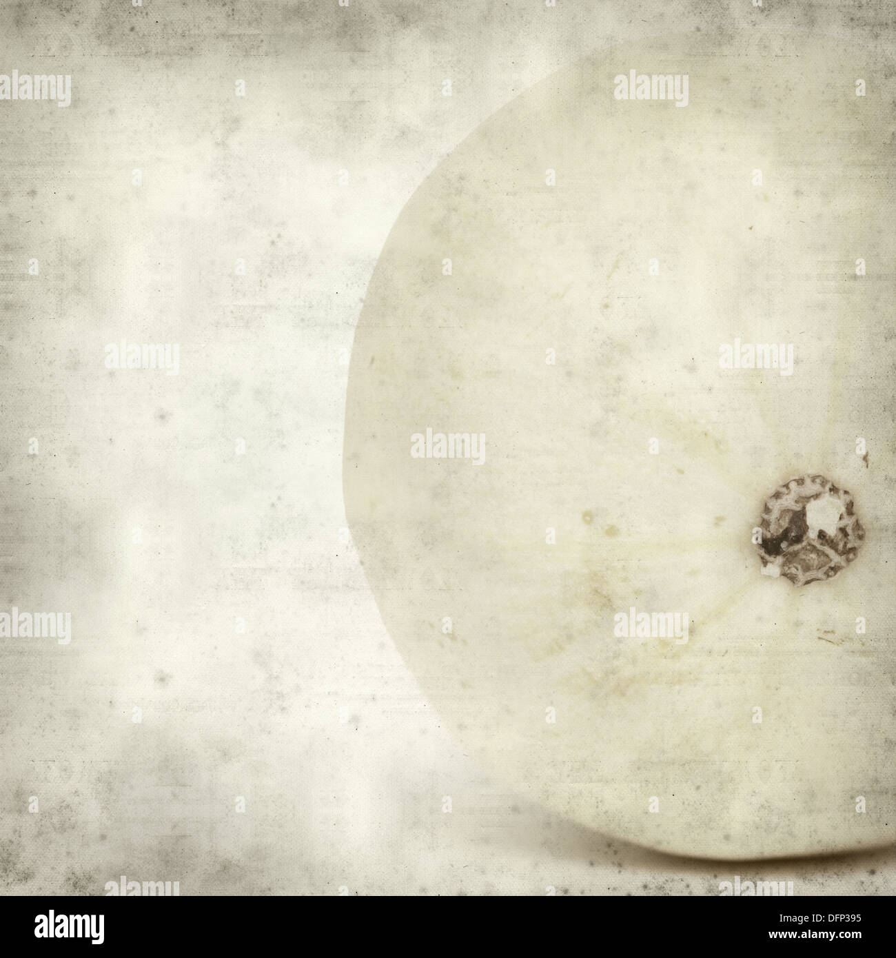 textured old paper background with squash Stock Photo - Alamy