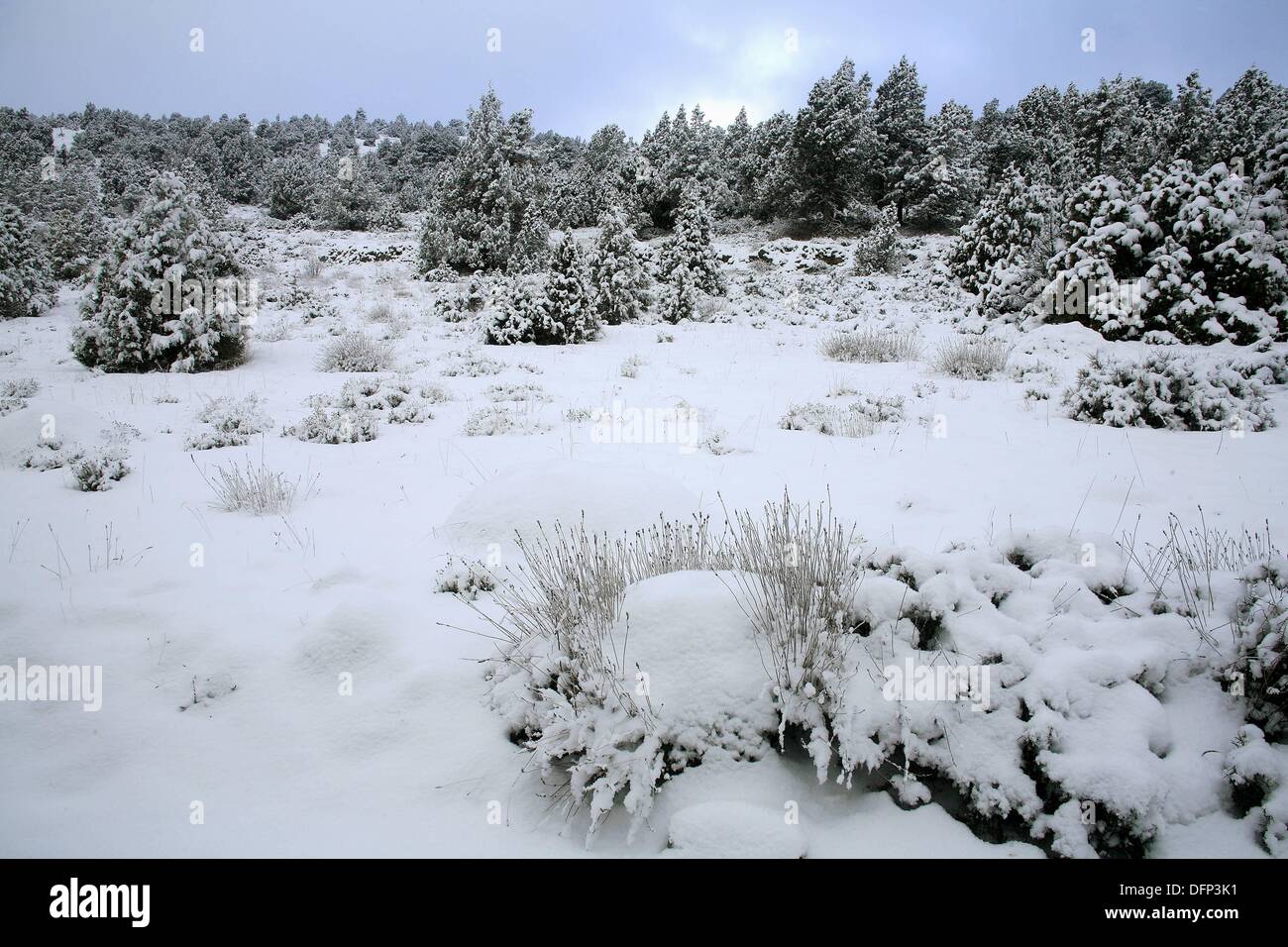 Paisaje invernal hi-res stock photography and images - Alamy