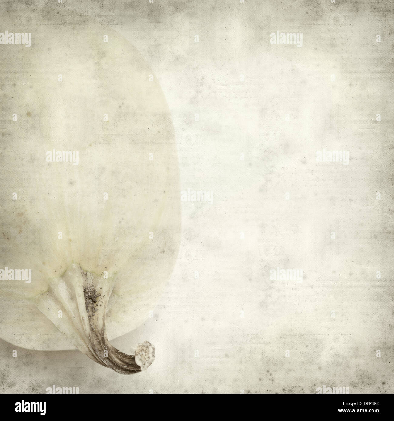 textured old paper background with squash Stock Photo - Alamy