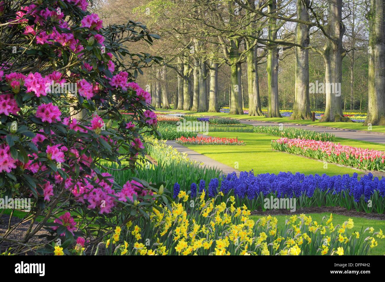 Formal garden path hi-res stock photography and images - Alamy