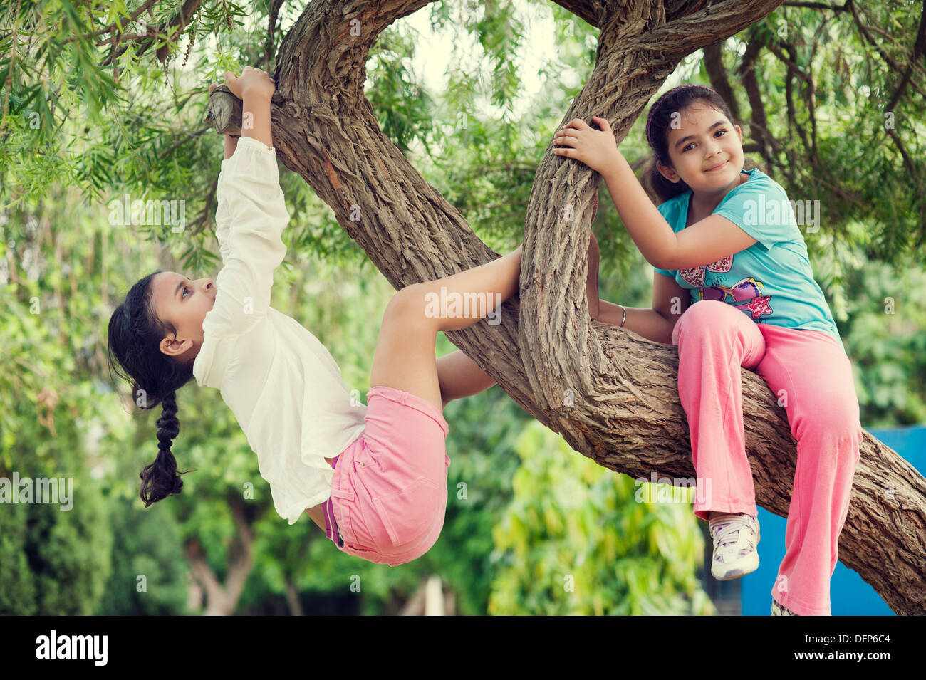 Two girls sitting on a tree hi-res stock photography and images - Alamy