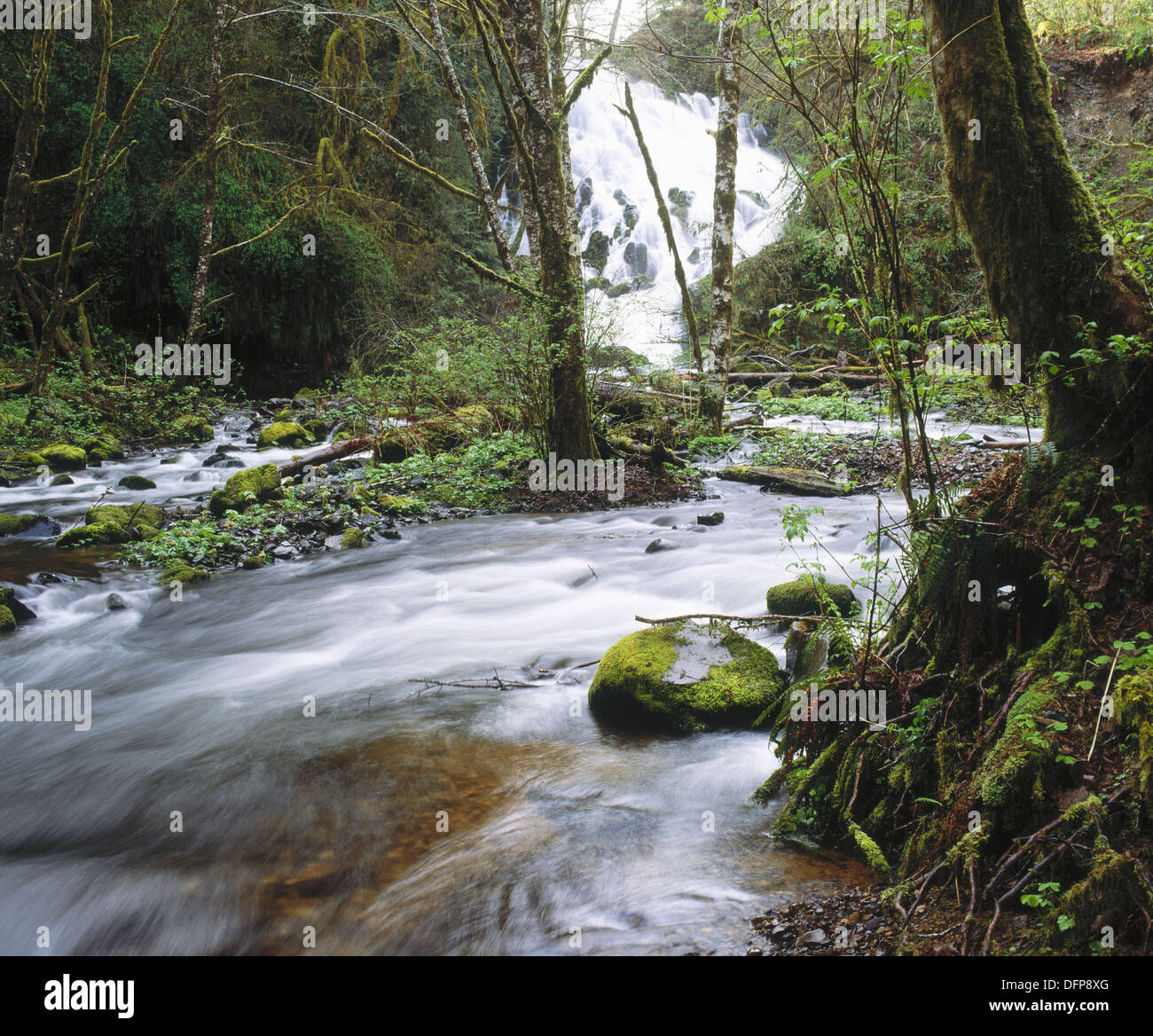 Fishhawk falls hi-res stock photography and images - Alamy