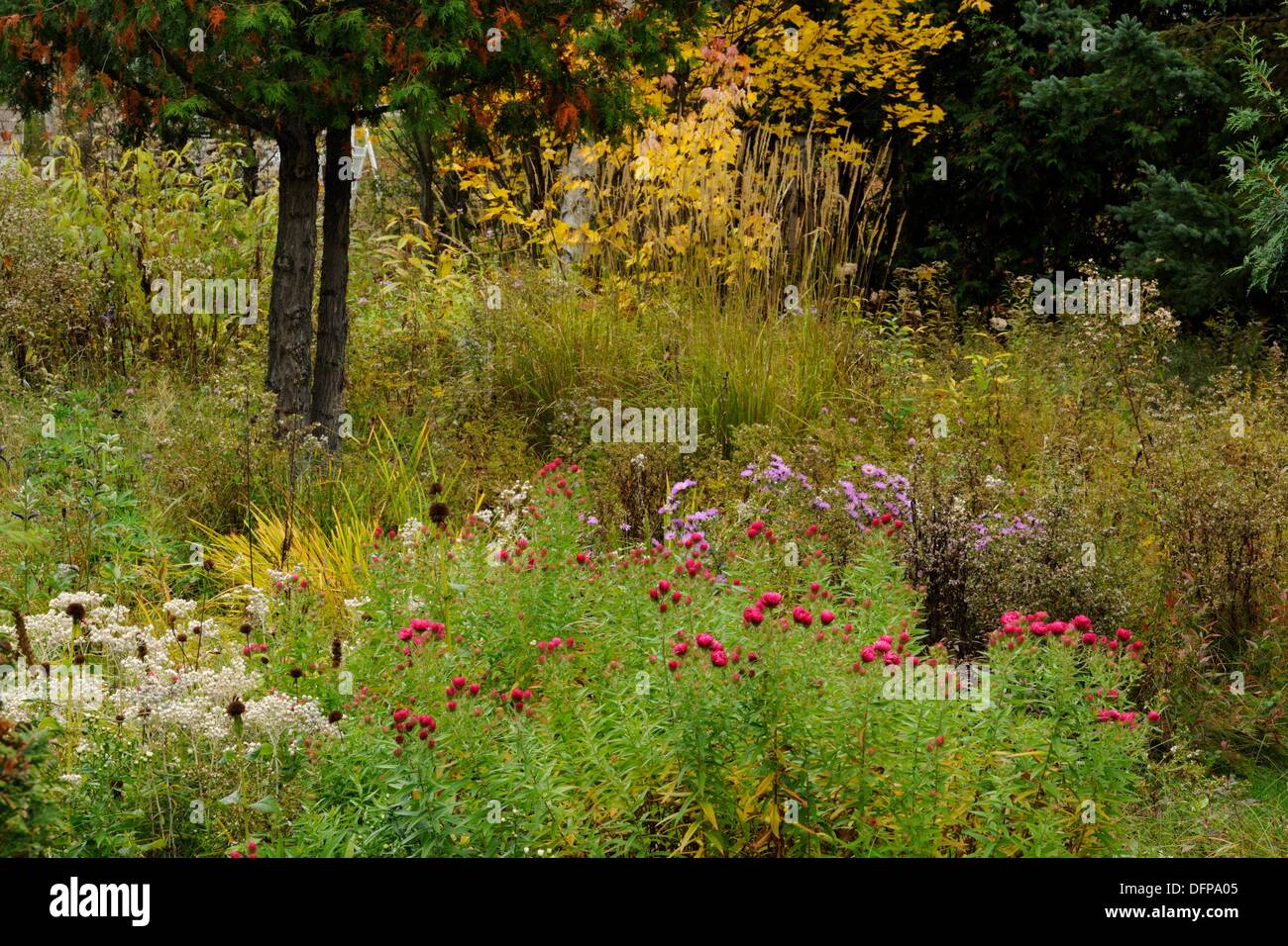 Ontario tree planting hi-res stock photography and images - Alamy