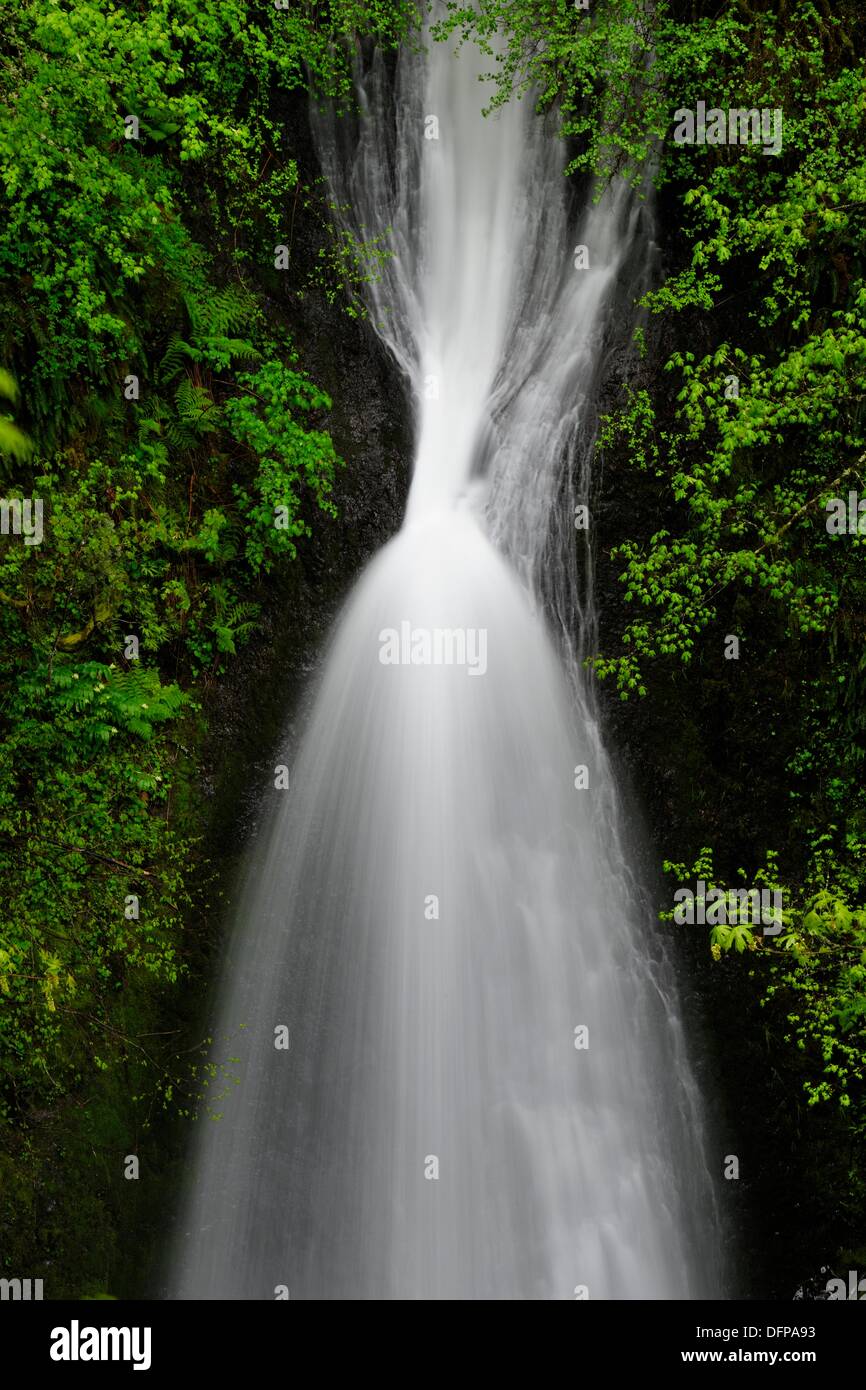 Digital vertical nature scenic waterfall hi-res stock photography and ...