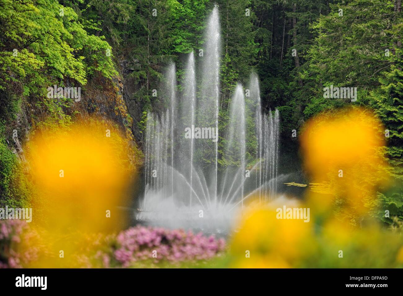 Ross Fountain Butchart Gardens Victoria High Resolution Stock ...