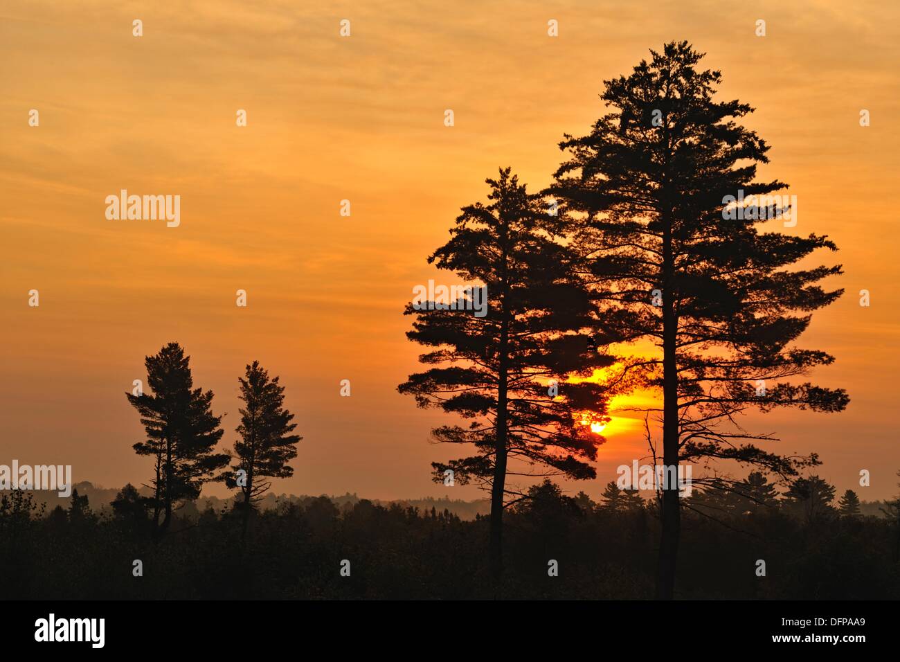 Three lakes community hi-res stock photography and images - Alamy