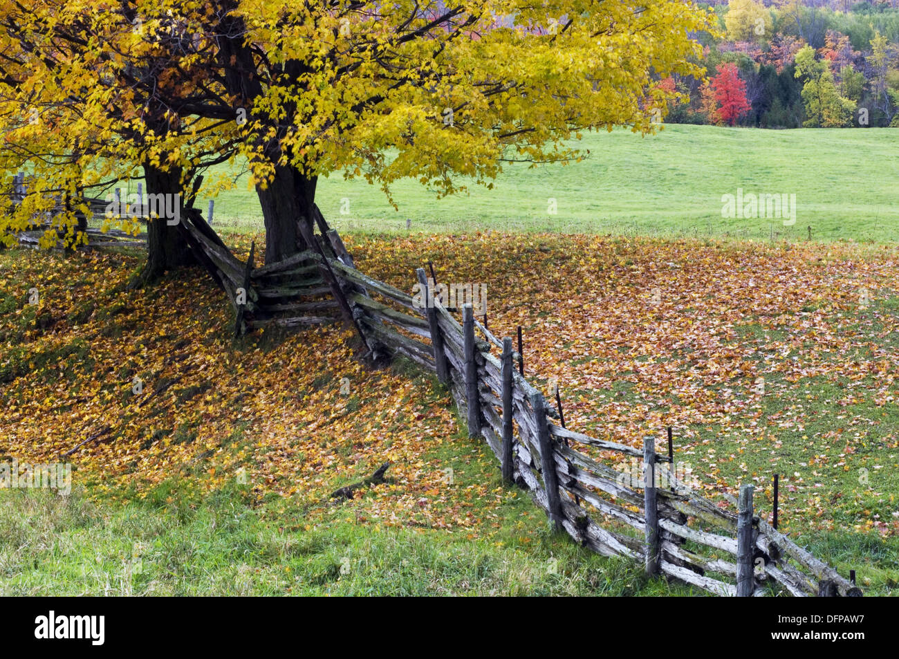 Farm split rail fence hi-res stock photography and images - Alamy
