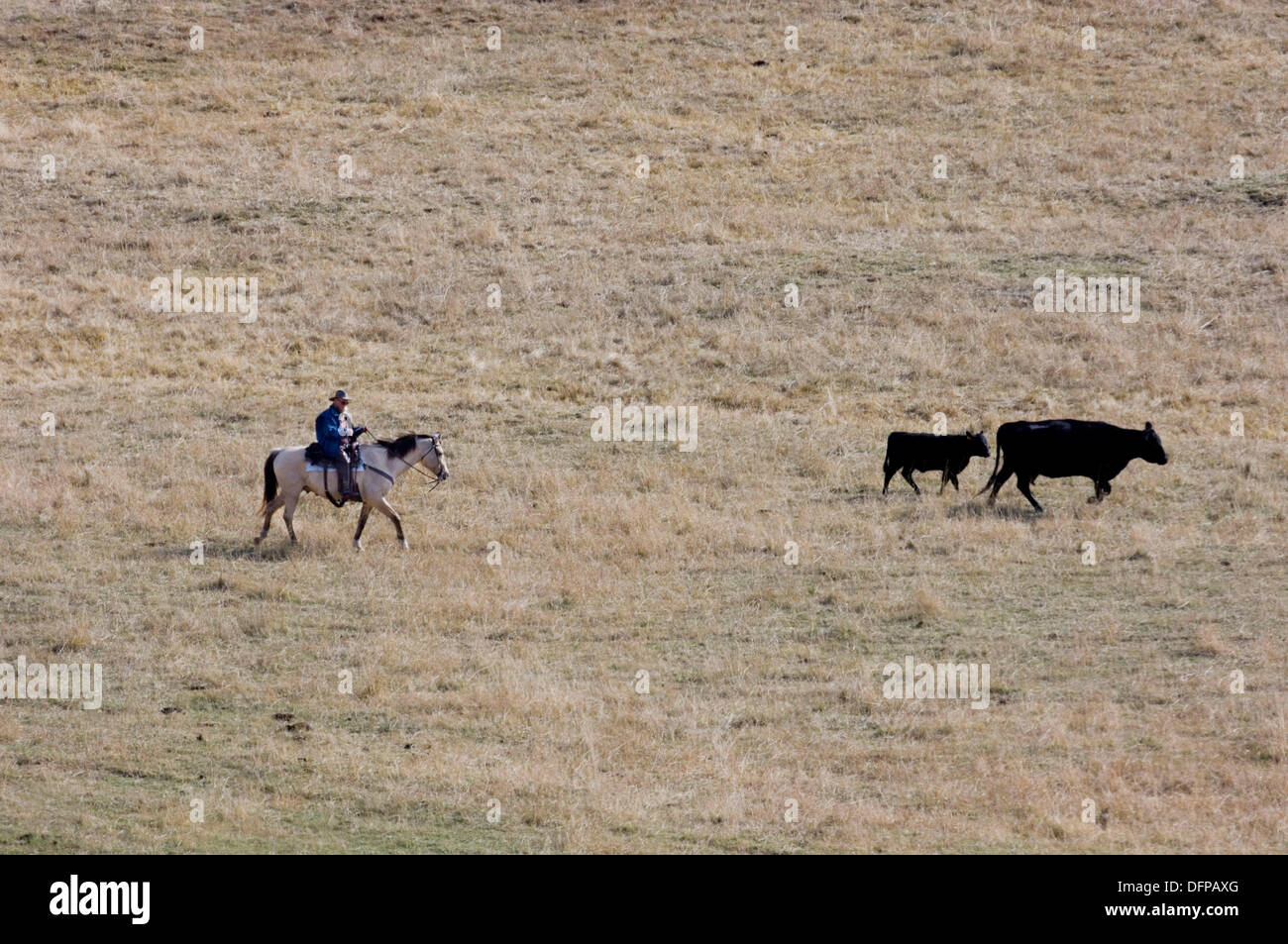 Cowboys figure hi-res stock photography and images - Alamy