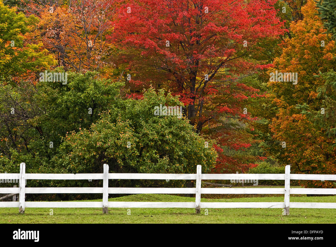 White boundary fence hi-res stock photography and images - Alamy