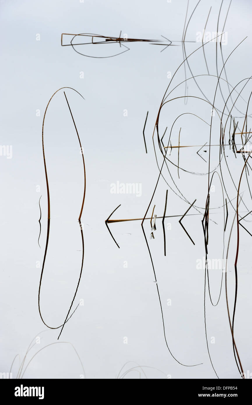 Rouse lake hi-res stock photography and images - Alamy