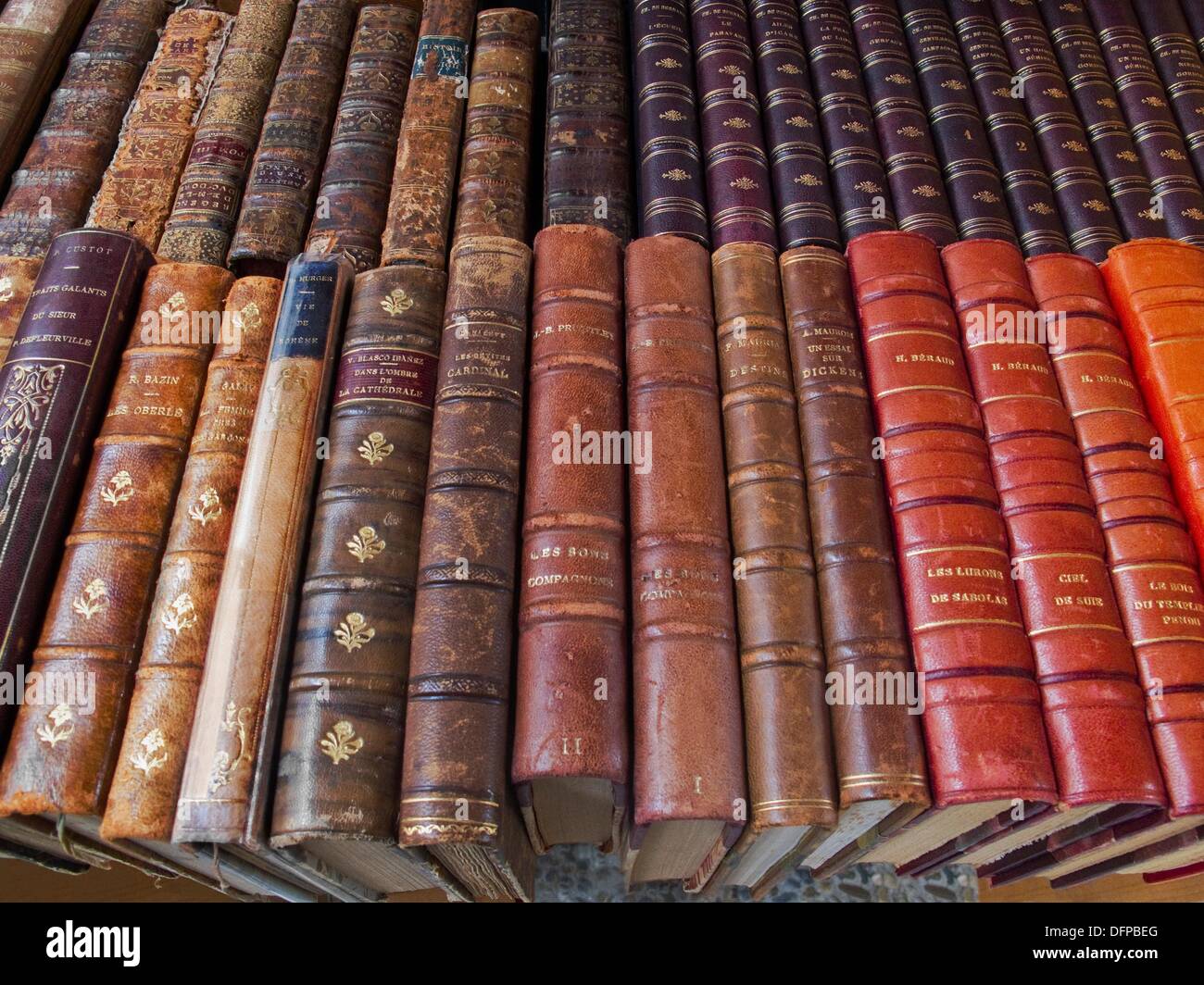 Leather Bound Books French High Resolution Stock Photography and Images ...