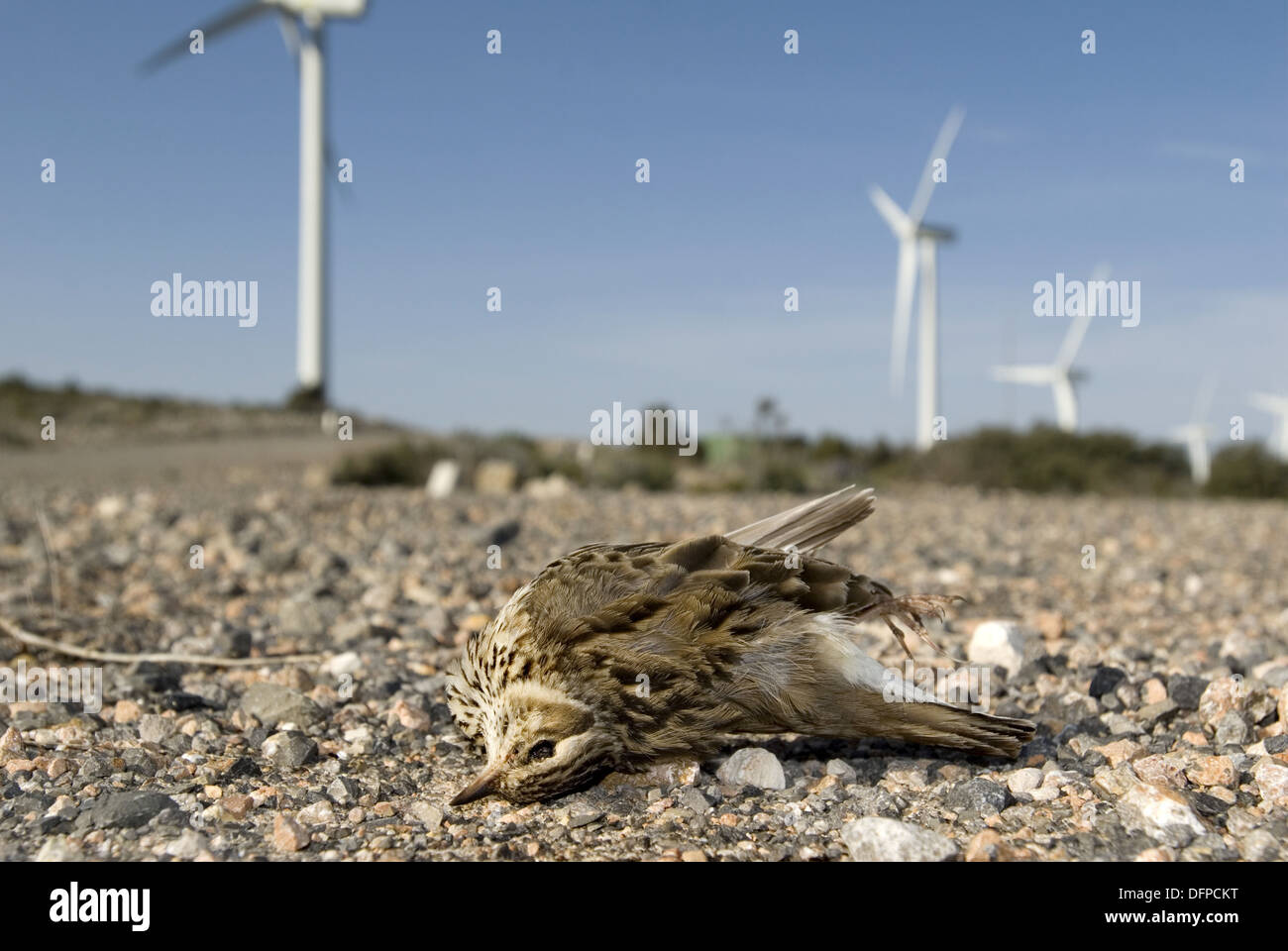 Wind turbine accident hi-res stock photography and images - Alamy