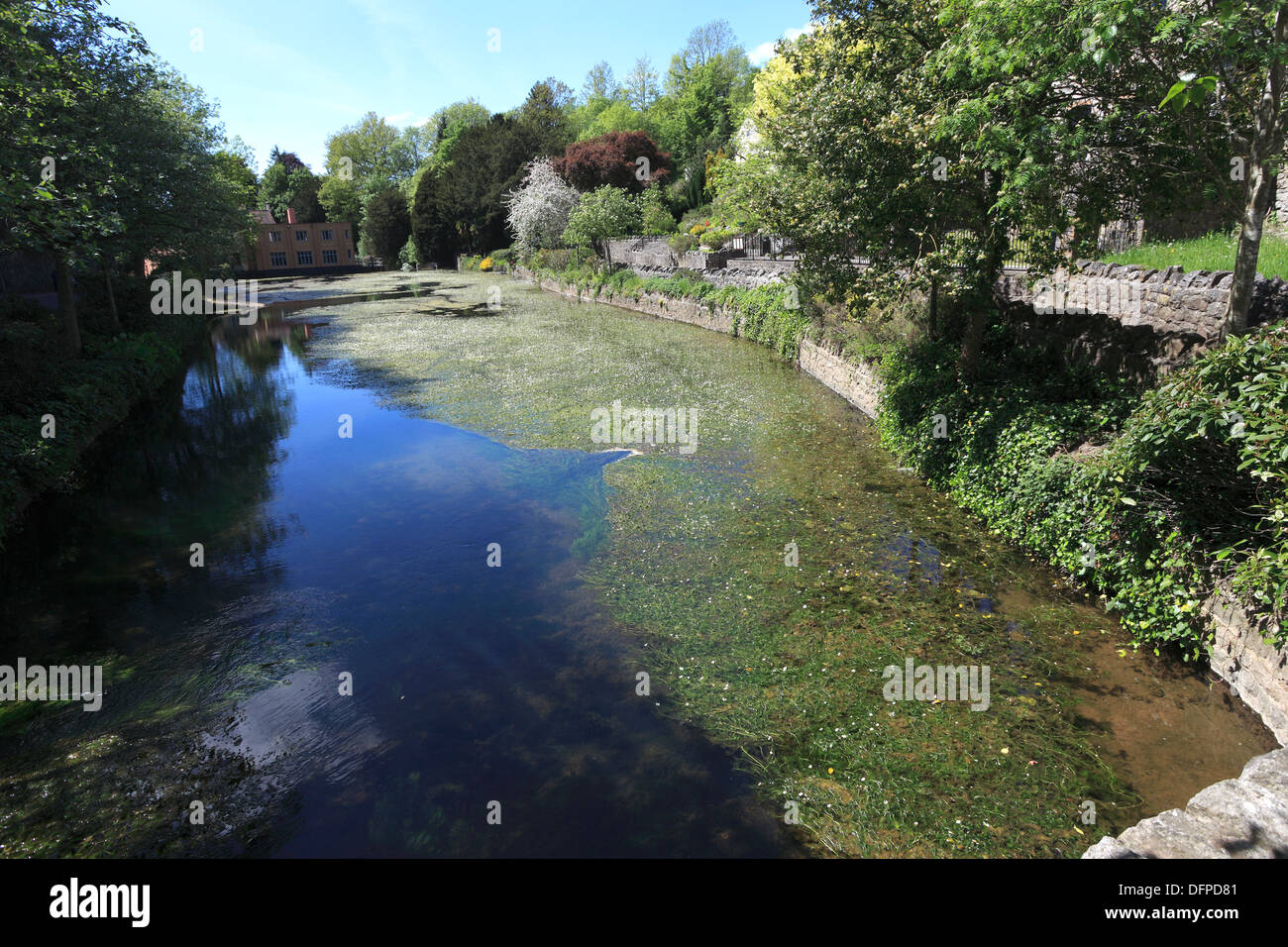 River Yeo under the Limestone cliffs of Cheddar Gorge, Mendip Hills ...