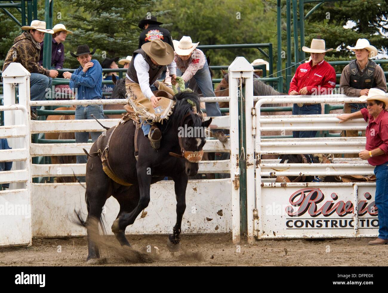Bronco Riding High Resolution Stock Photography and Images - Alamy