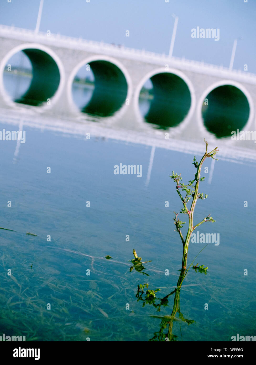 Branch sticking out hi-res stock photography and images - Alamy