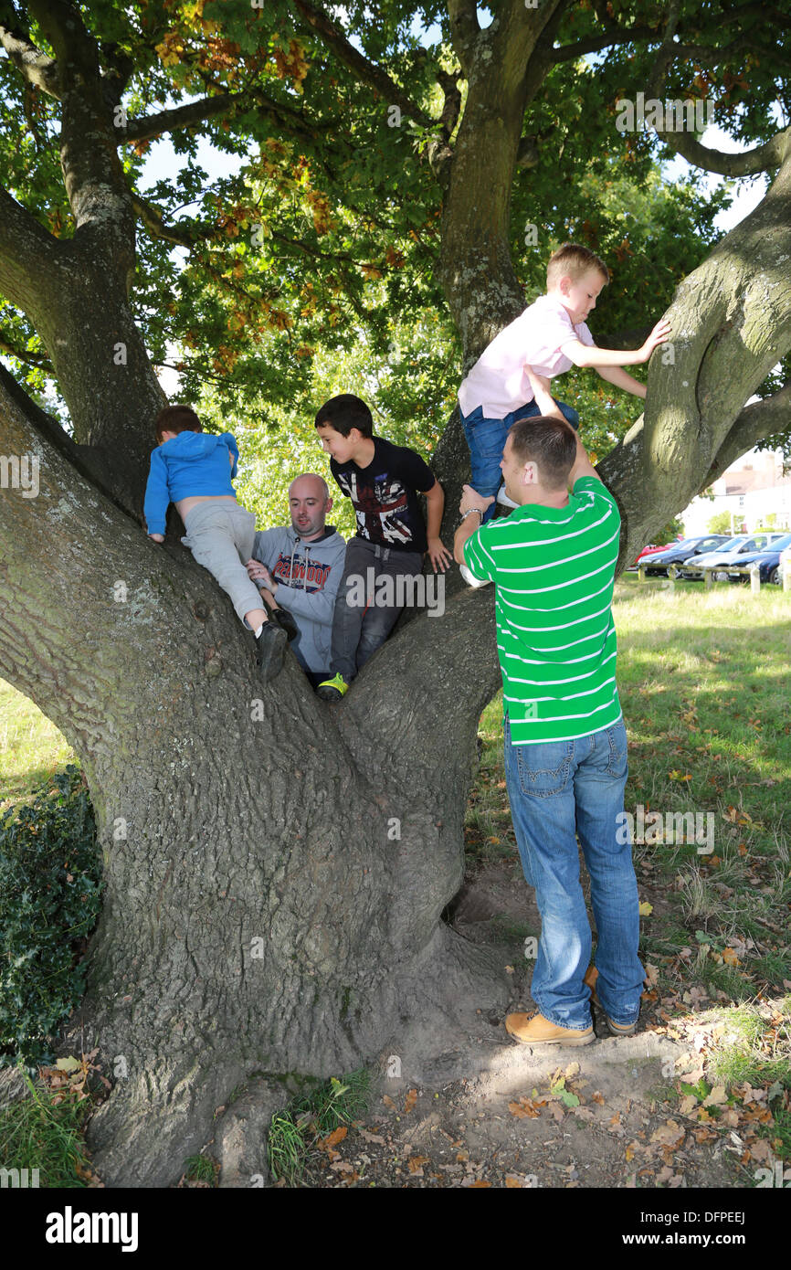 Child climbing tree father hi-res stock photography and images - Alamy