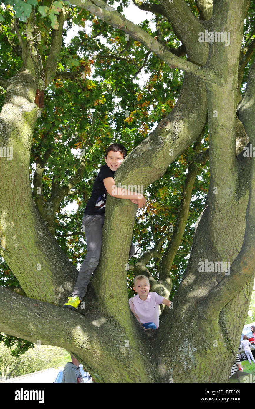 Boys climbing trees hi-res stock photography and images - Alamy