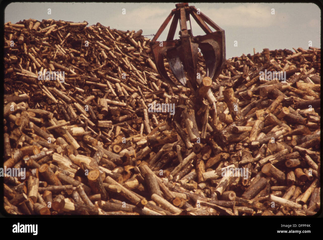 Pulp log and conveyer georgia pacific paper mill hi-res stock ...