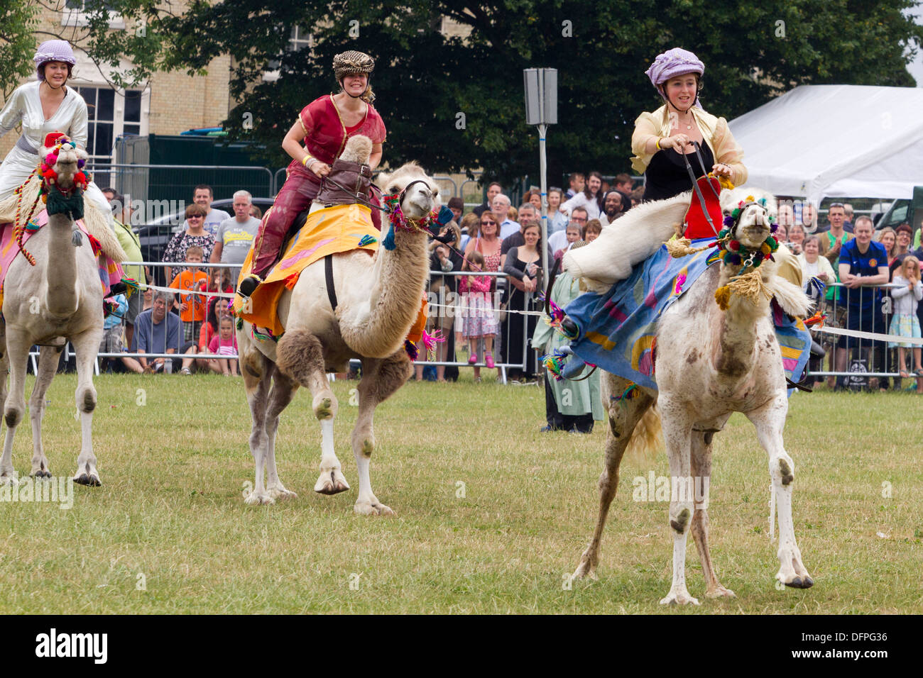 Racing Camel High Resolution Stock Photography and Images - Alamy