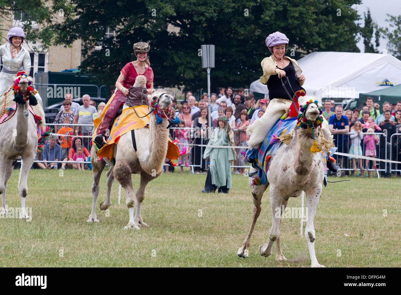 Racing Camel High Resolution Stock Photography and Images - Alamy
