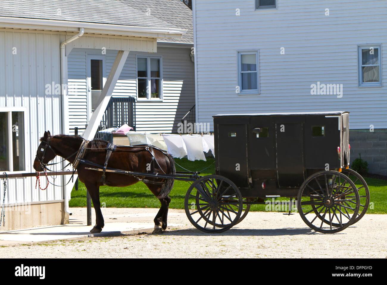 Indiana horse hi-res stock photography and images - Alamy