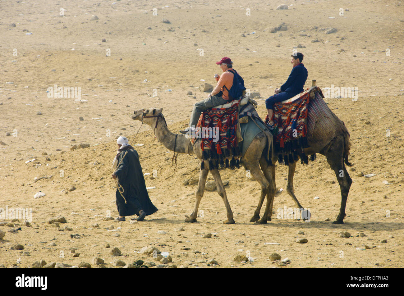 Egyptian Camel Camels Train High Resolution Stock Photography and Images - Alamy