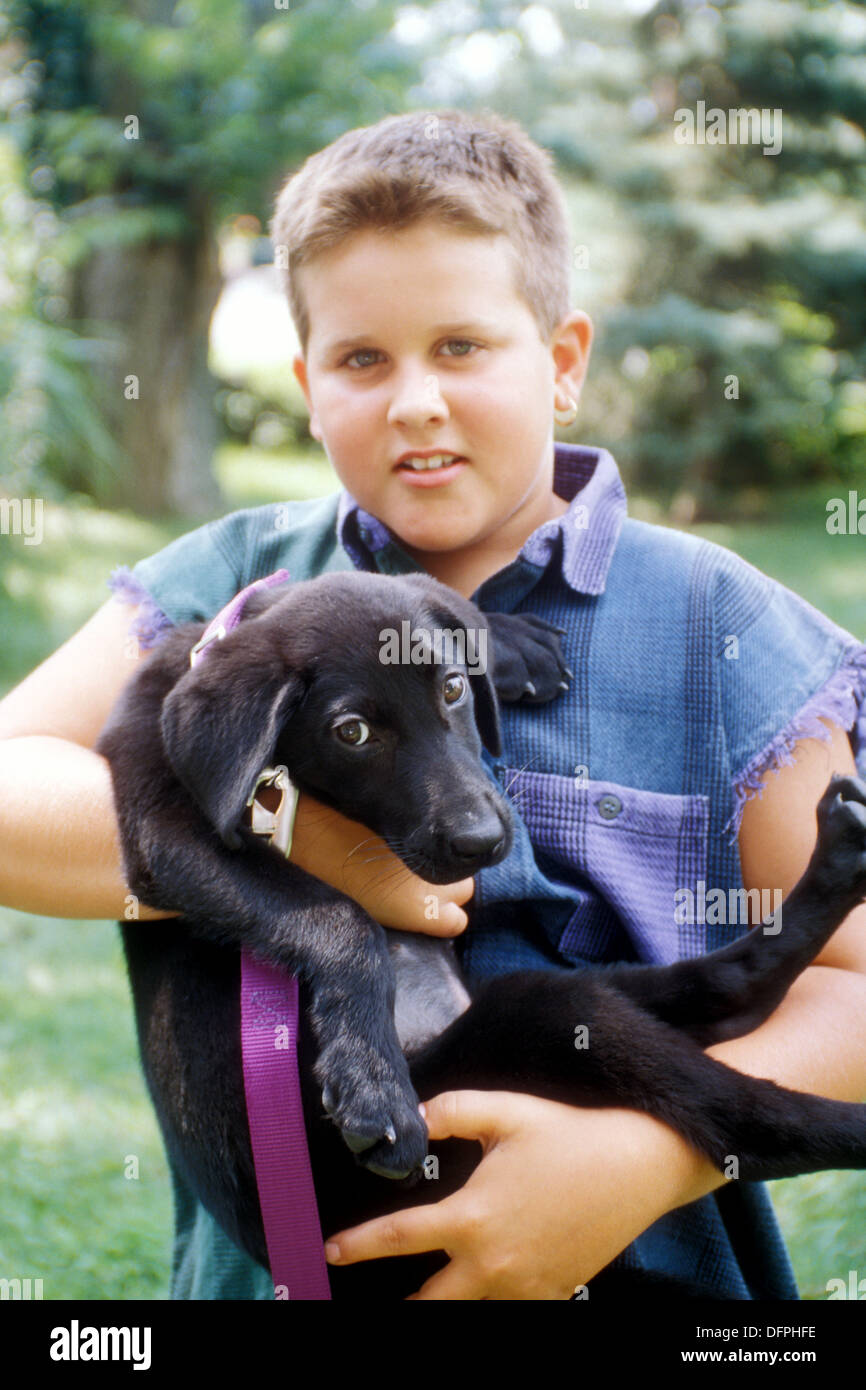 Black labrador youngster hi-res stock photography and images - Alamy