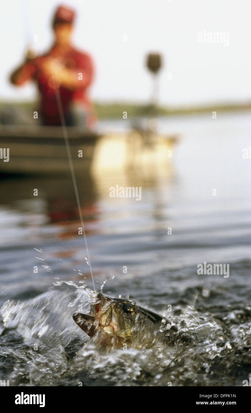 Tail lure hi-res stock photography and images - Alamy